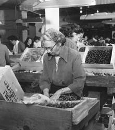 1948 | Columbia Fruit Packers